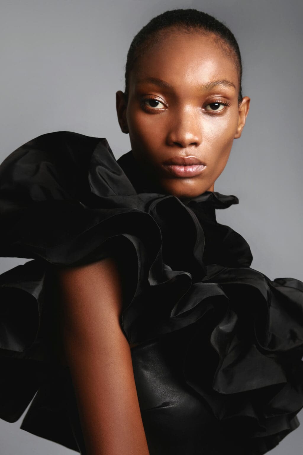 Prime Model Management